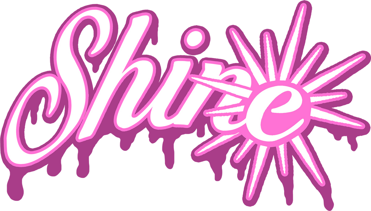 Lil Shine Shop